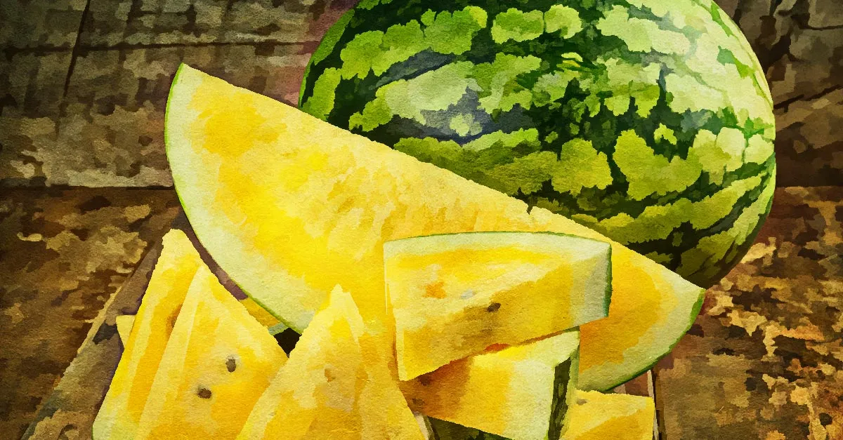 What is Yellow Watermelon?| Top 6 Benefits of Yellow Watermelon